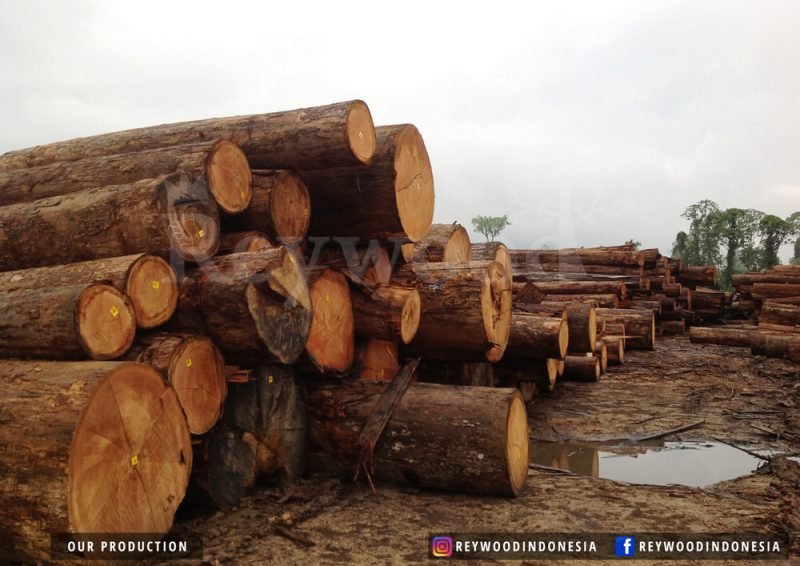 Production Process - Reywood Indonesia
